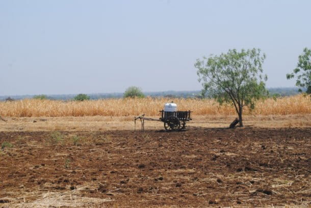 Marathwada parched as watershed conservation remains neglected