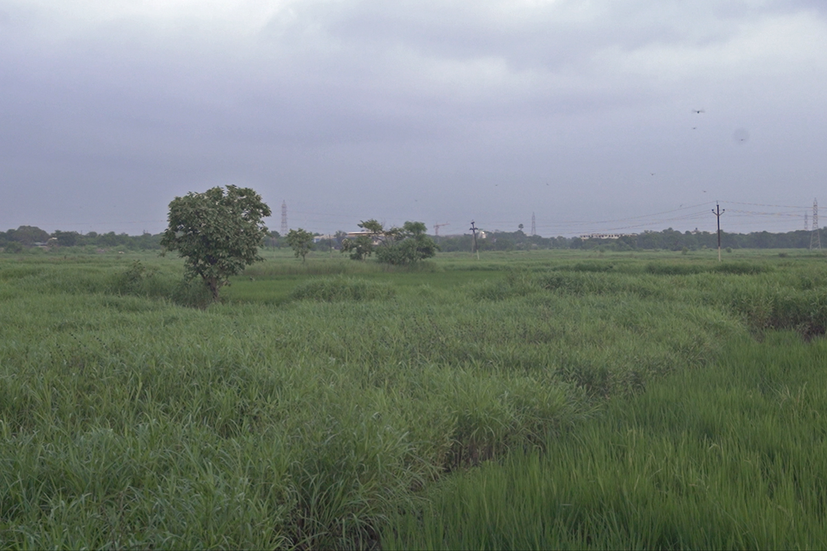 Ready to lose life but not land for the bullet train, say Maharashtra’s farmers and tribals