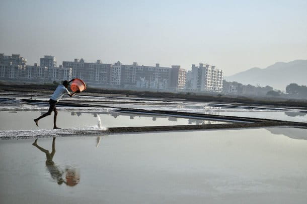 Salt pans save Mumbai from floods. So why are they under threat?