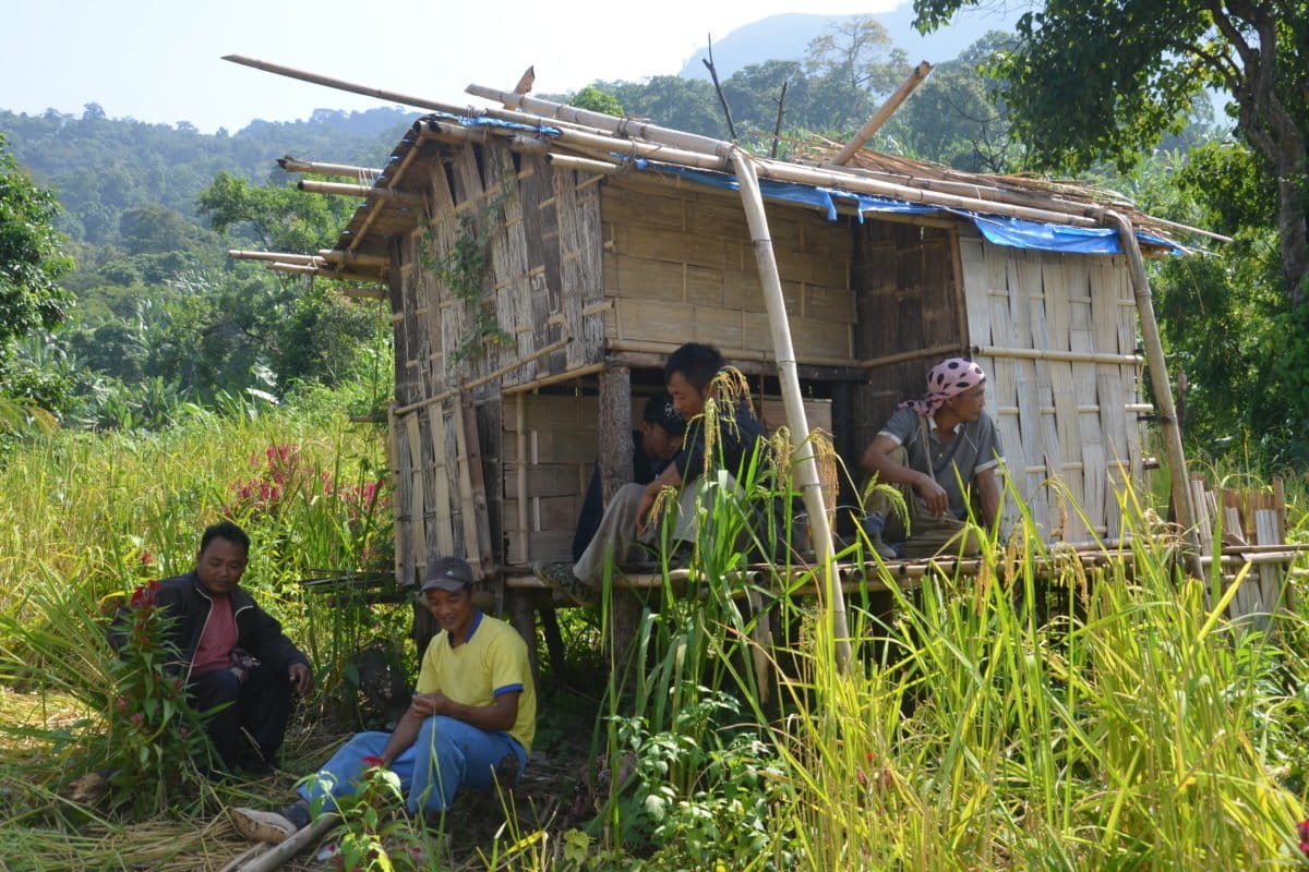 Crops under shifting cultivation hit in Mizoram villages: Study