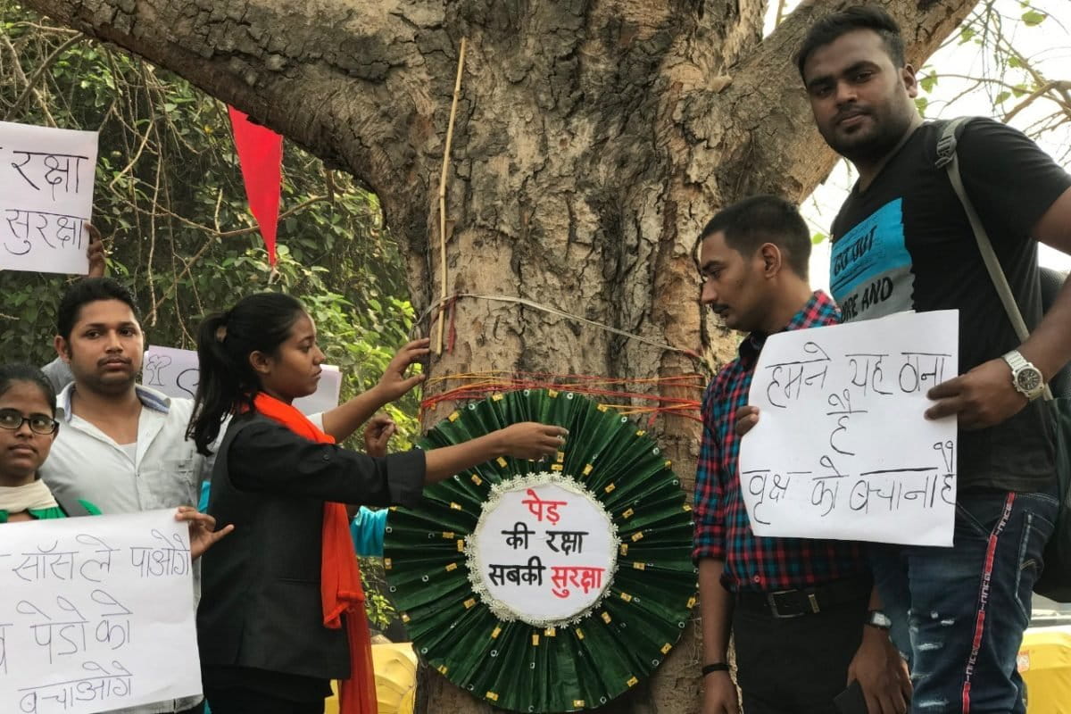 Will the latest amendment to U.P.’s tree act help the state’s green cover?