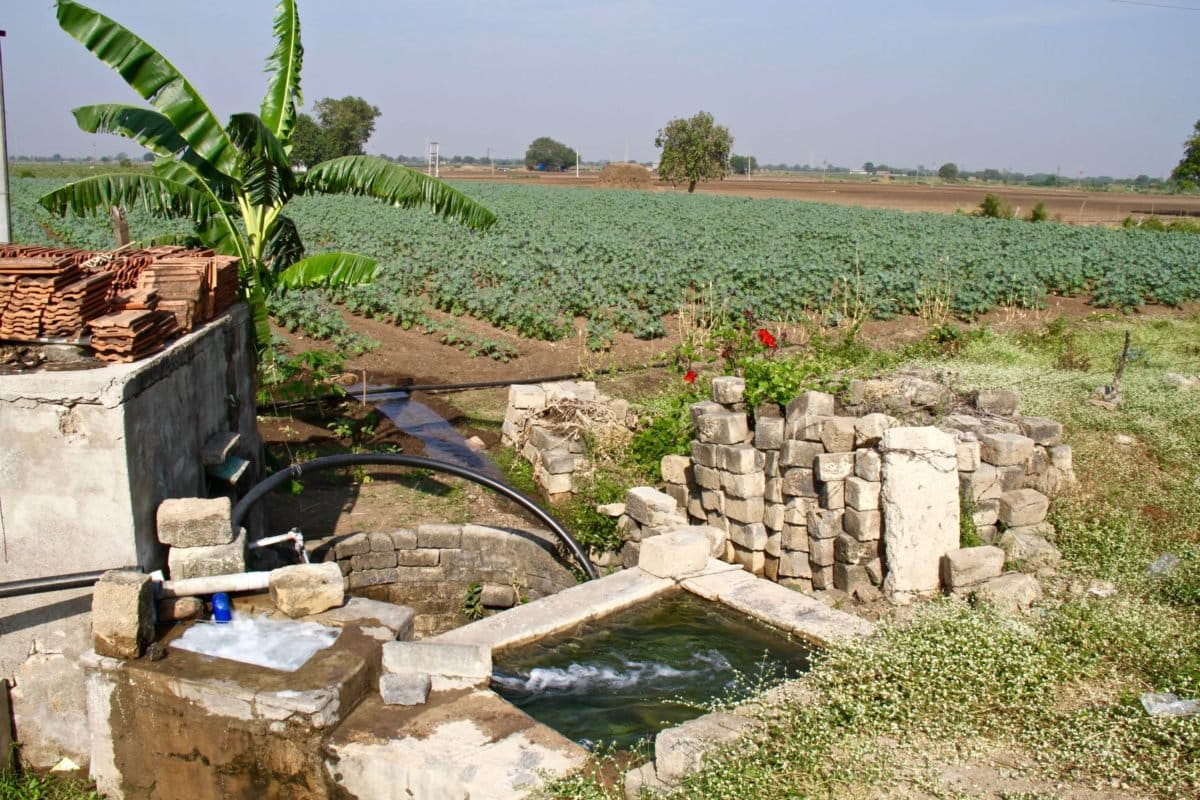 Irrigation linked to reduced rainfall in northern India