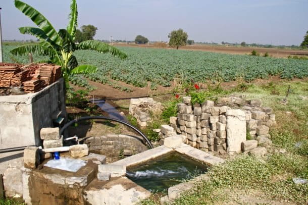 Irrigation linked to reduced rainfall in northern India