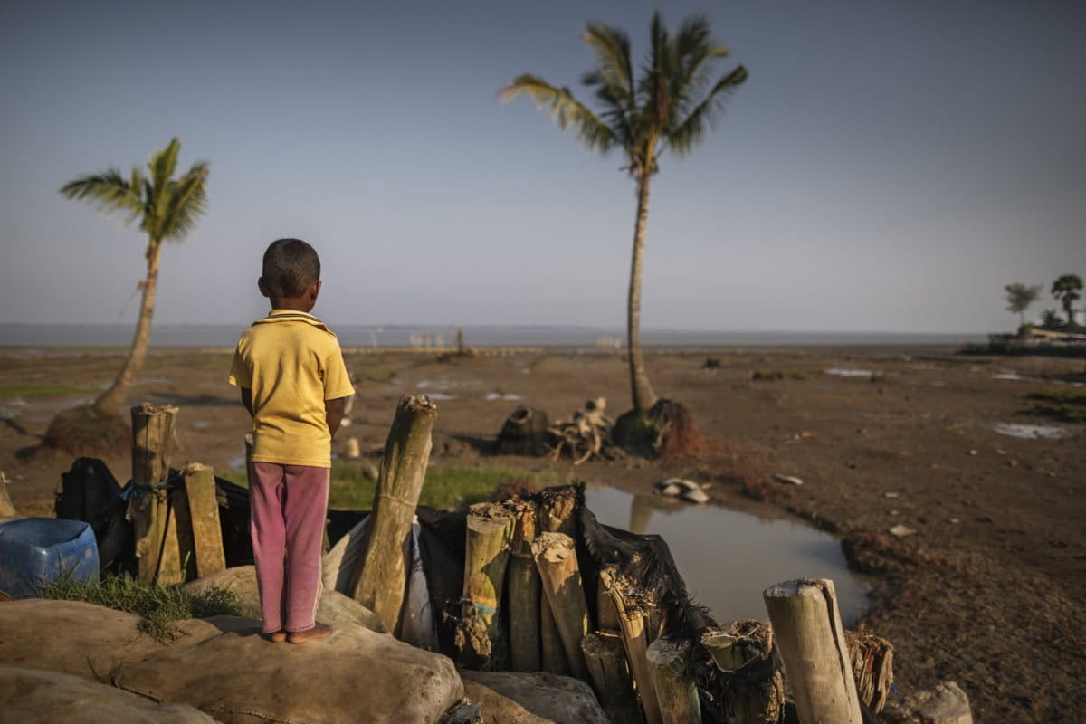 The Sundarbans: frontlines of climate change for tigers and people