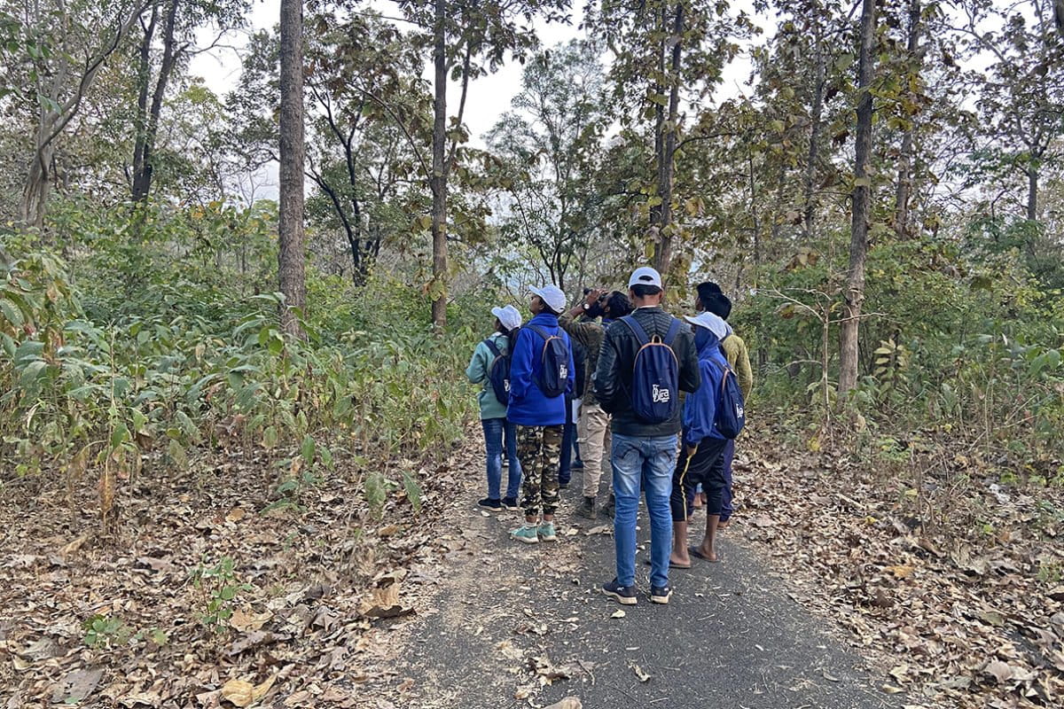 Bird festival puts spotlight on the biodiversity of Gujarat's Dang forests