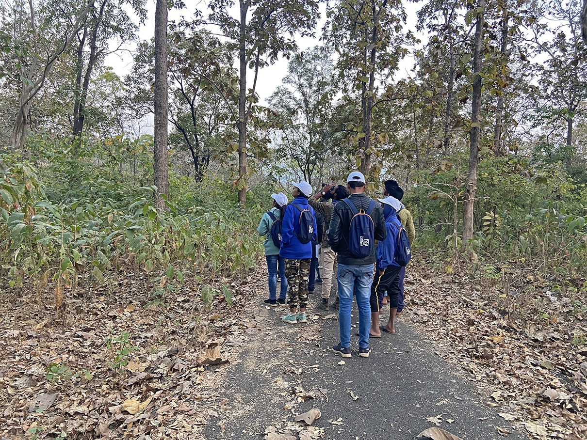 Bird festival puts spotlight on the biodiversity of Gujarat's Dang forests