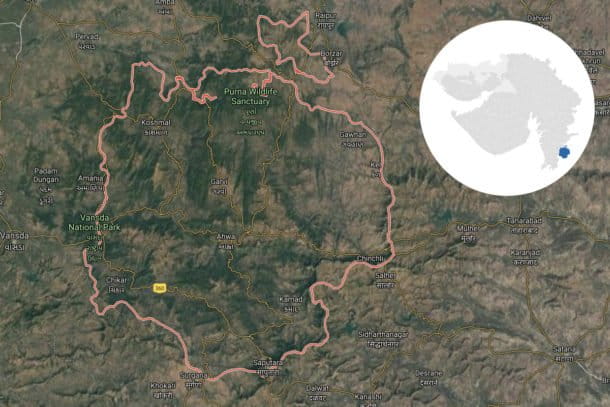 Bird festival puts spotlight on the biodiversity of Gujarat's Dang forests