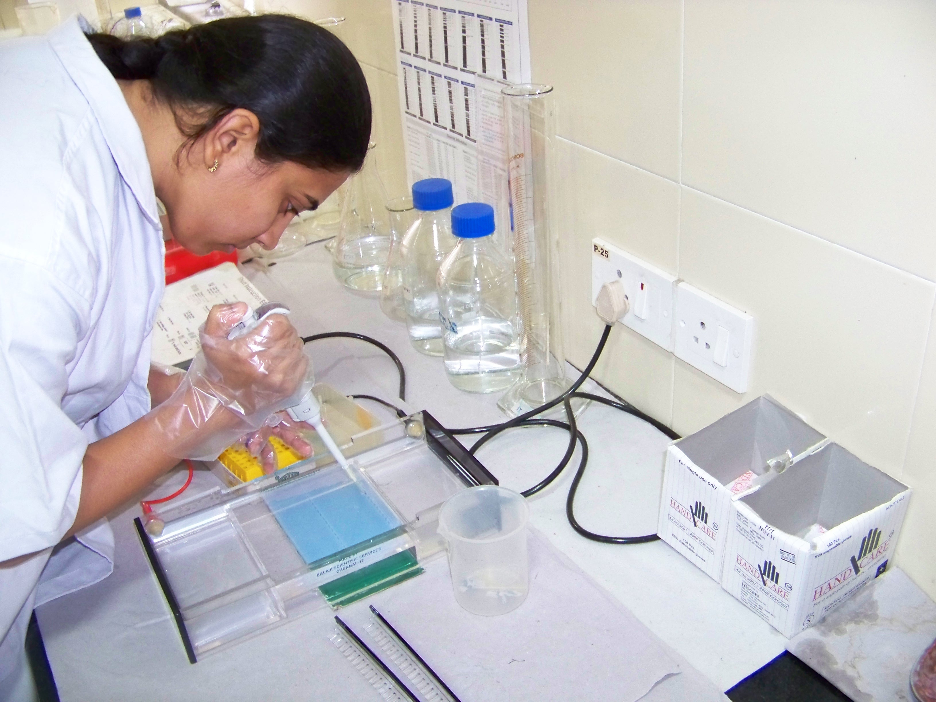 Lockdown Slows Wildlife Forensics