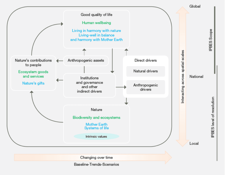 The case for a green GNP after the COVID-19 lockdown