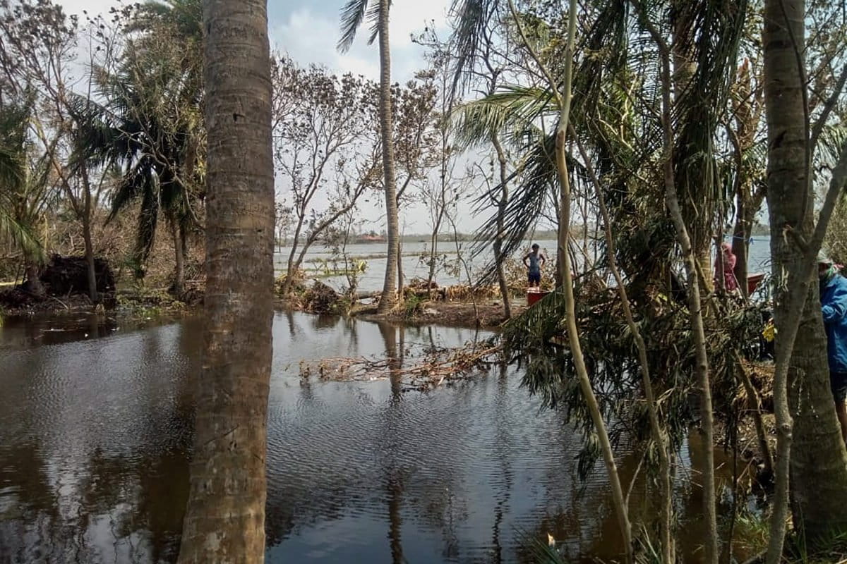 Sahana Ghosh and Kartik Chandramouli Archives - Mongabay-India