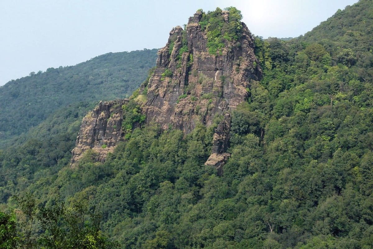 How a Karnataka district is rapidly losing lush forest cover