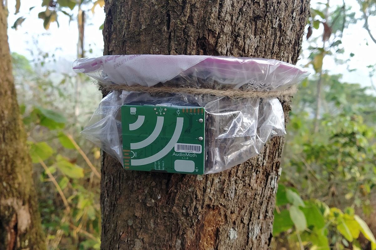 Listen closely: using bioacoustics in wildlife conservation