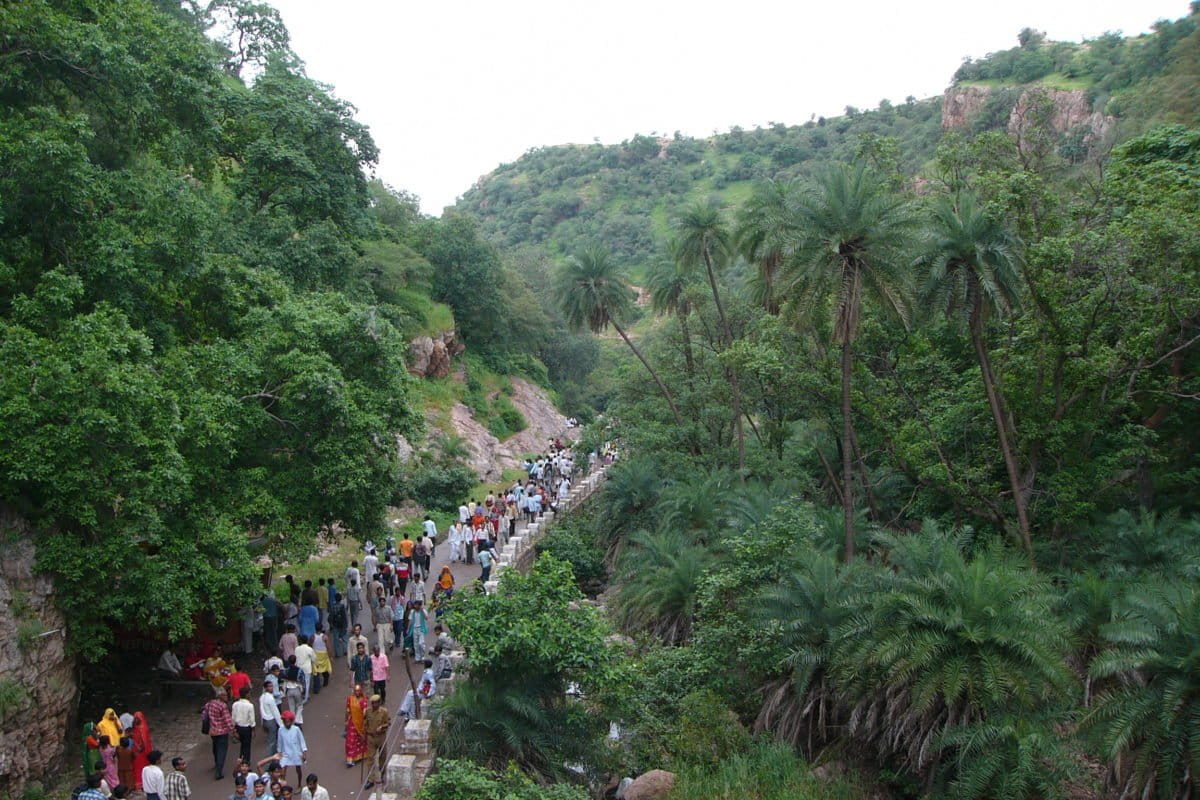 Meenu Dhakad and Ishan Dhar Archives - Mongabay-India