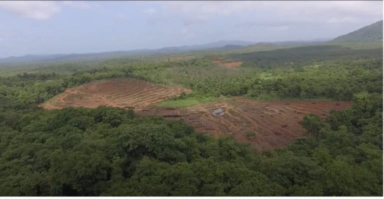 Goa’s systematic destruction of green cover for infrastructure projects