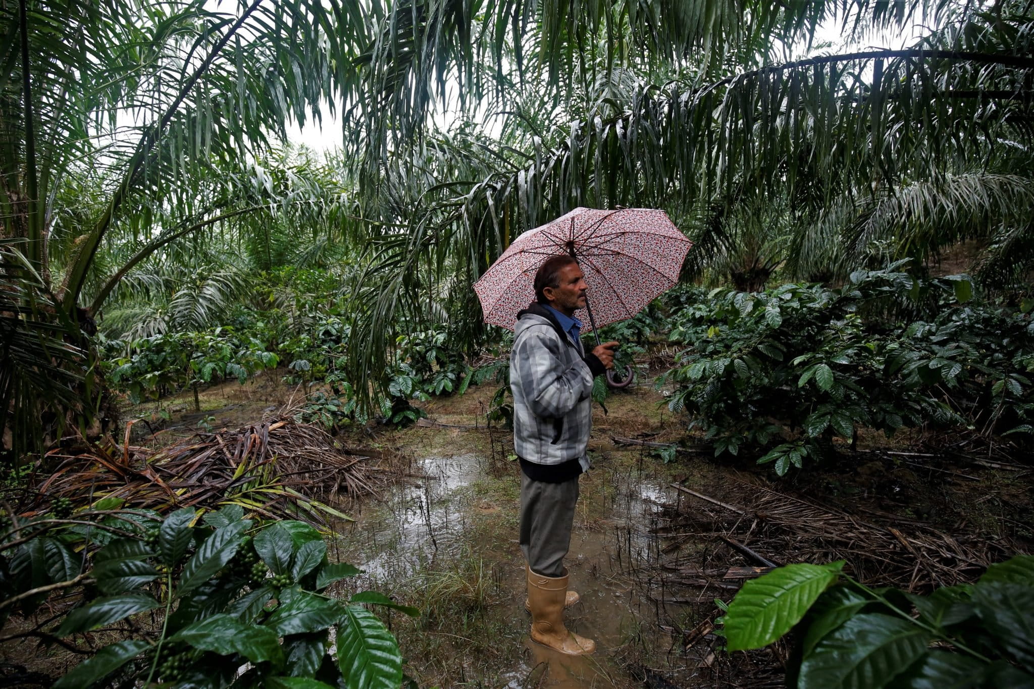 There’s more to Kodagu floods than heavy rains