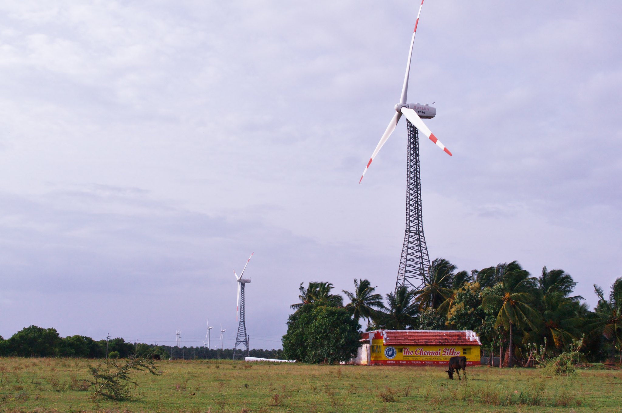 Align state-centre interests to push India’s renewable energy revolution