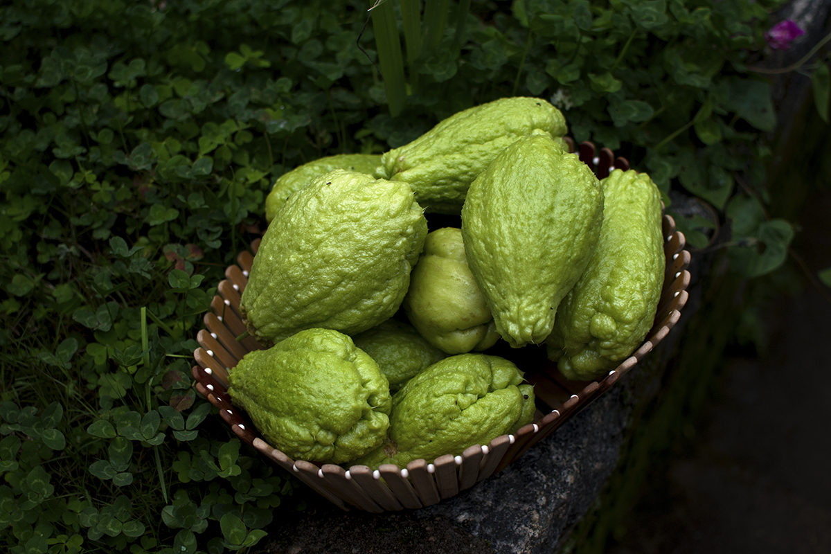 Locked in due to COVID, a researcher takes to shooting chow
