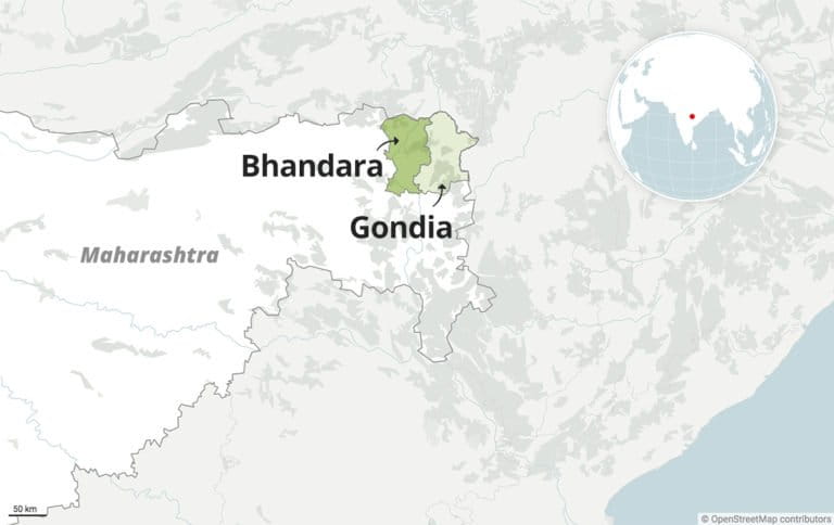 Returning to traditional practices to save Vidarbha's ‘Lake District’