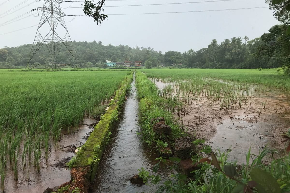 Goa’s iron ore mining stuck at a crossroad