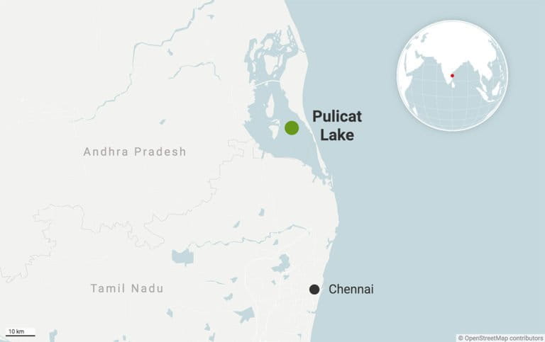 As threats increase, community’s effort to save Pulicat lake continues