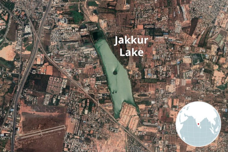 Jakkur lake: Fishers crucial in the clean up of this Bengaluru wetland