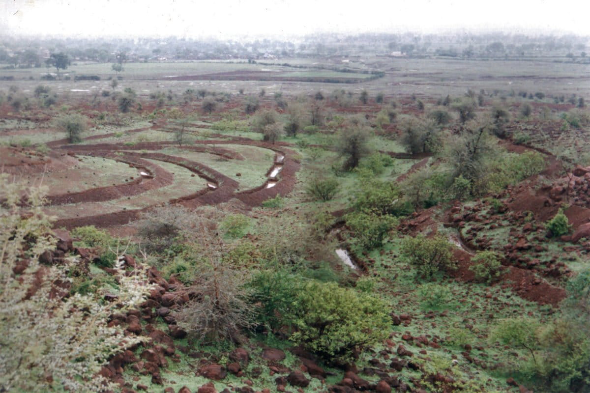 Community restores grasslands in Lamkani, making it drought-resilient
