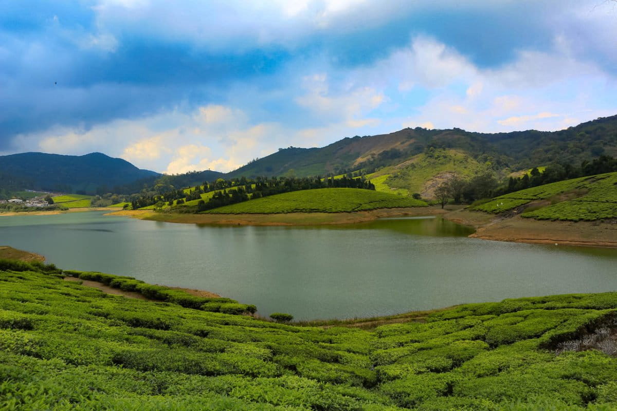 A new tiger reserve holds hope for revival of Vaigai river in Madurai