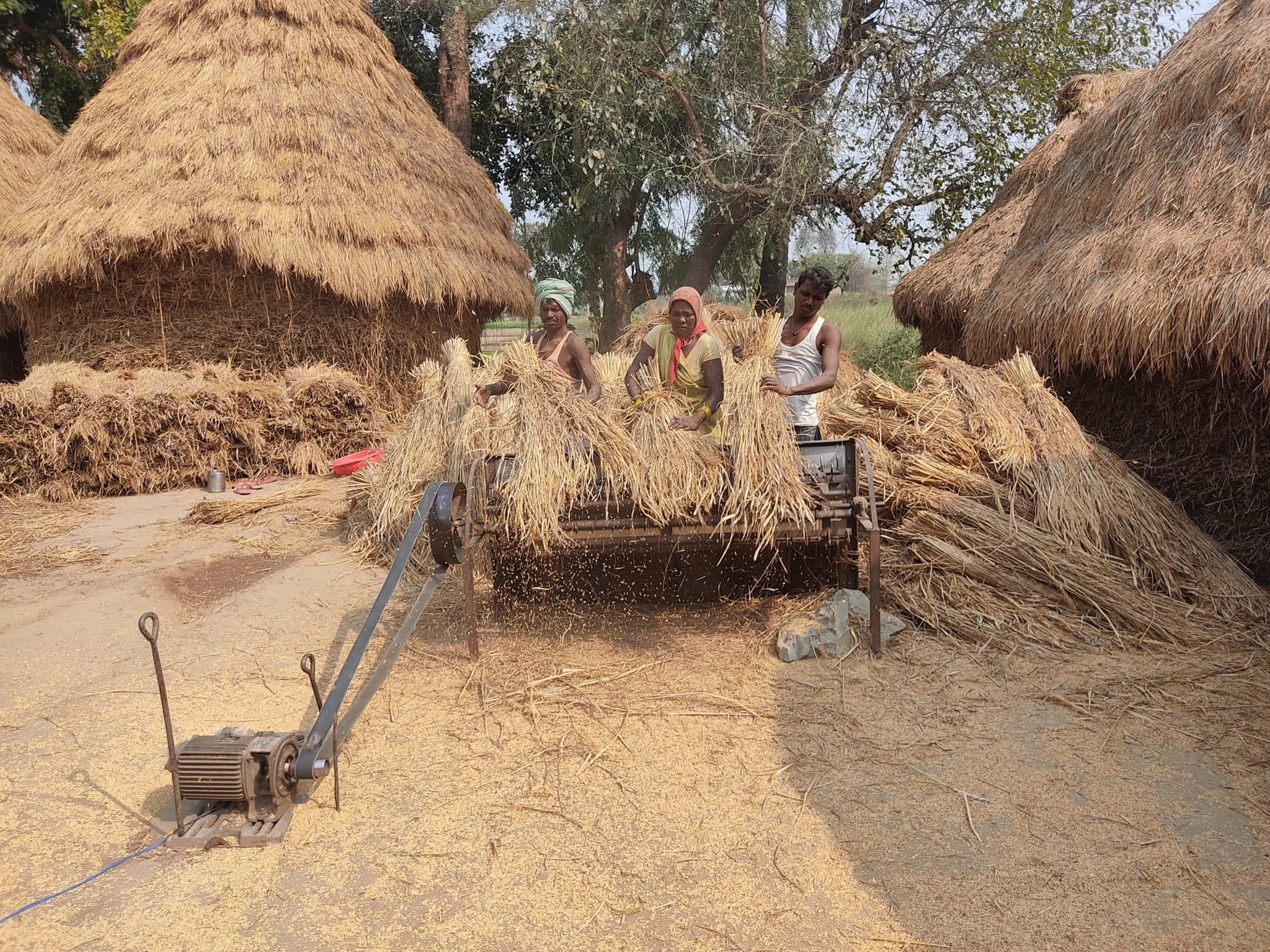 Bihar highly vulnerable to climate change, says study, but lacks action ...