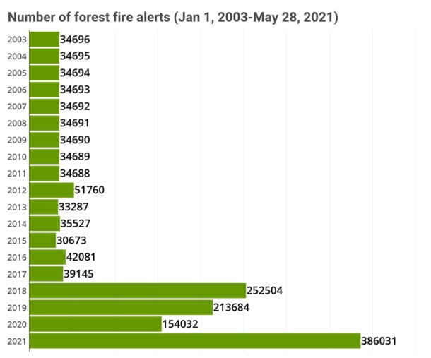 With increased forest fires, along with Covid, forest dwellers face the ...