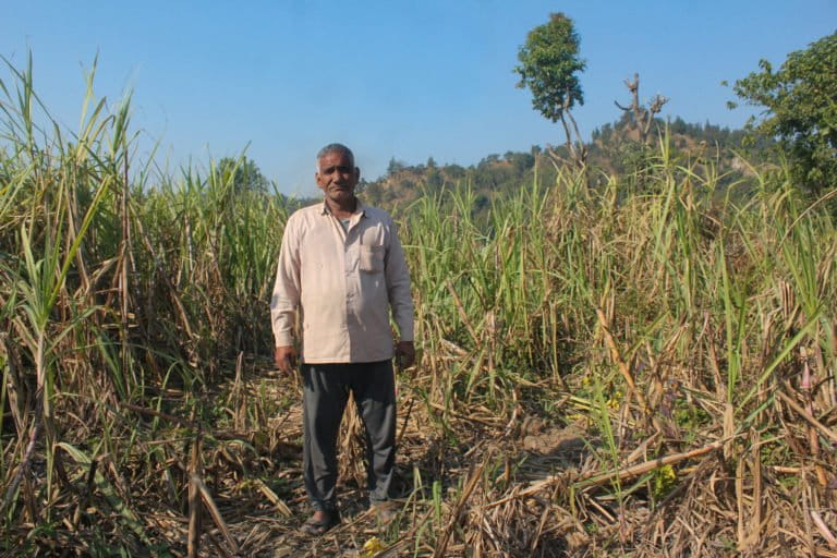 Van Gujjars: People of the forest or nowhere?