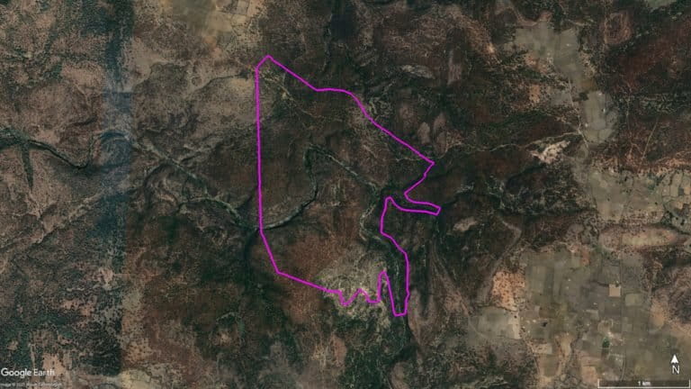 Protests over ecological concerns at Bunder diamond mining project