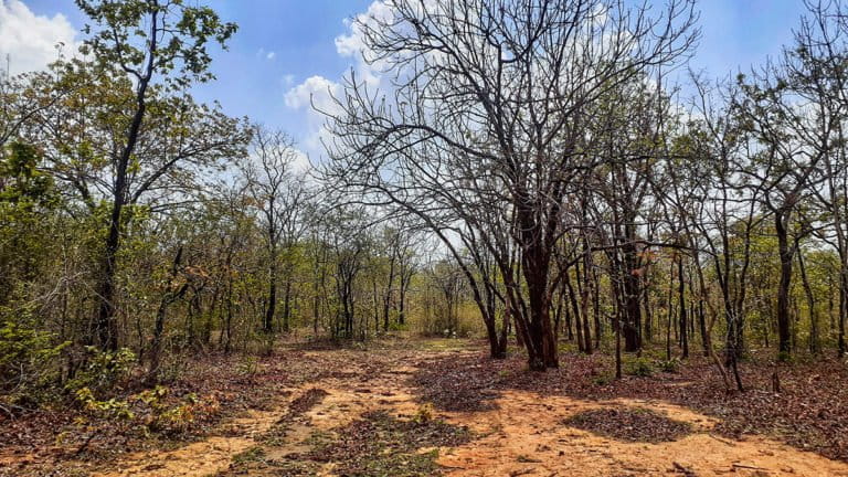 Protests over ecological concerns at Bunder diamond mining project