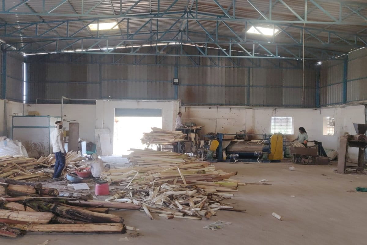 From agri waste to eco textiles: crop residue finds a place in fashion