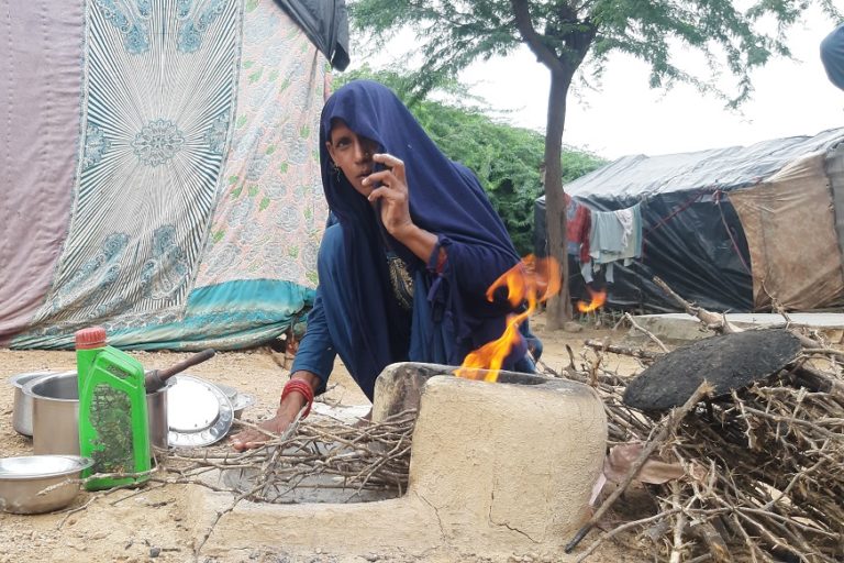 Animals protected but Kalandar tribe still trying to make ends meet