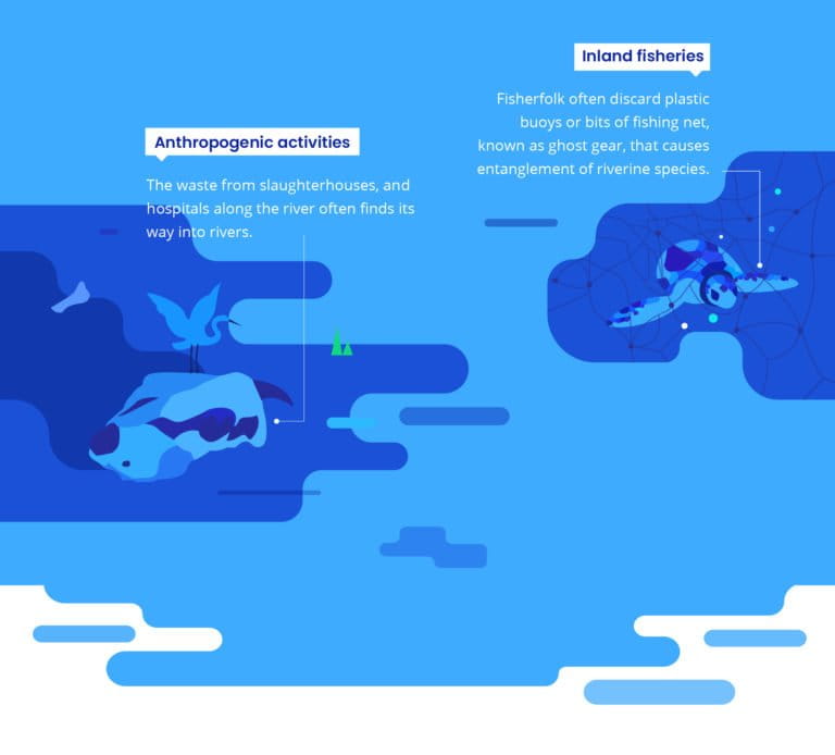 [Illustration] The journey of plastic pollution in the Ganges