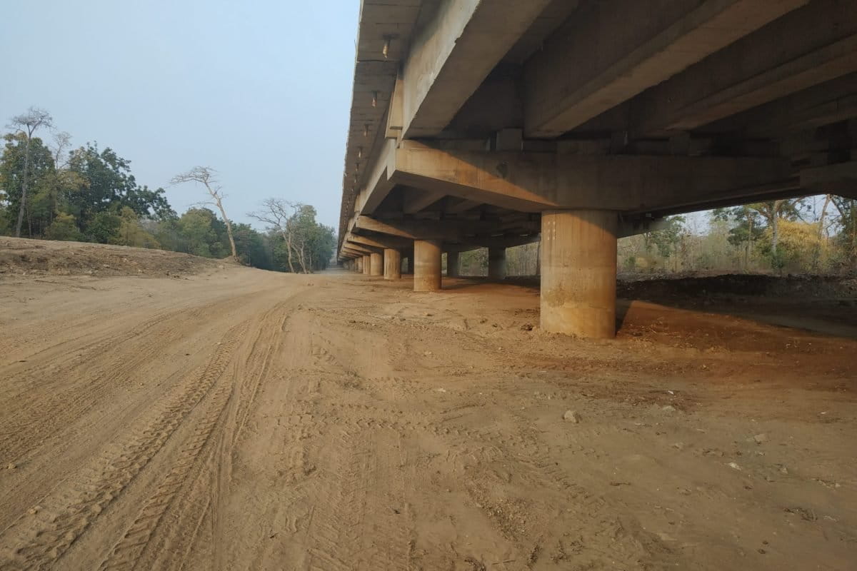 [Commentary] Connecting corridors for tigers in Central India