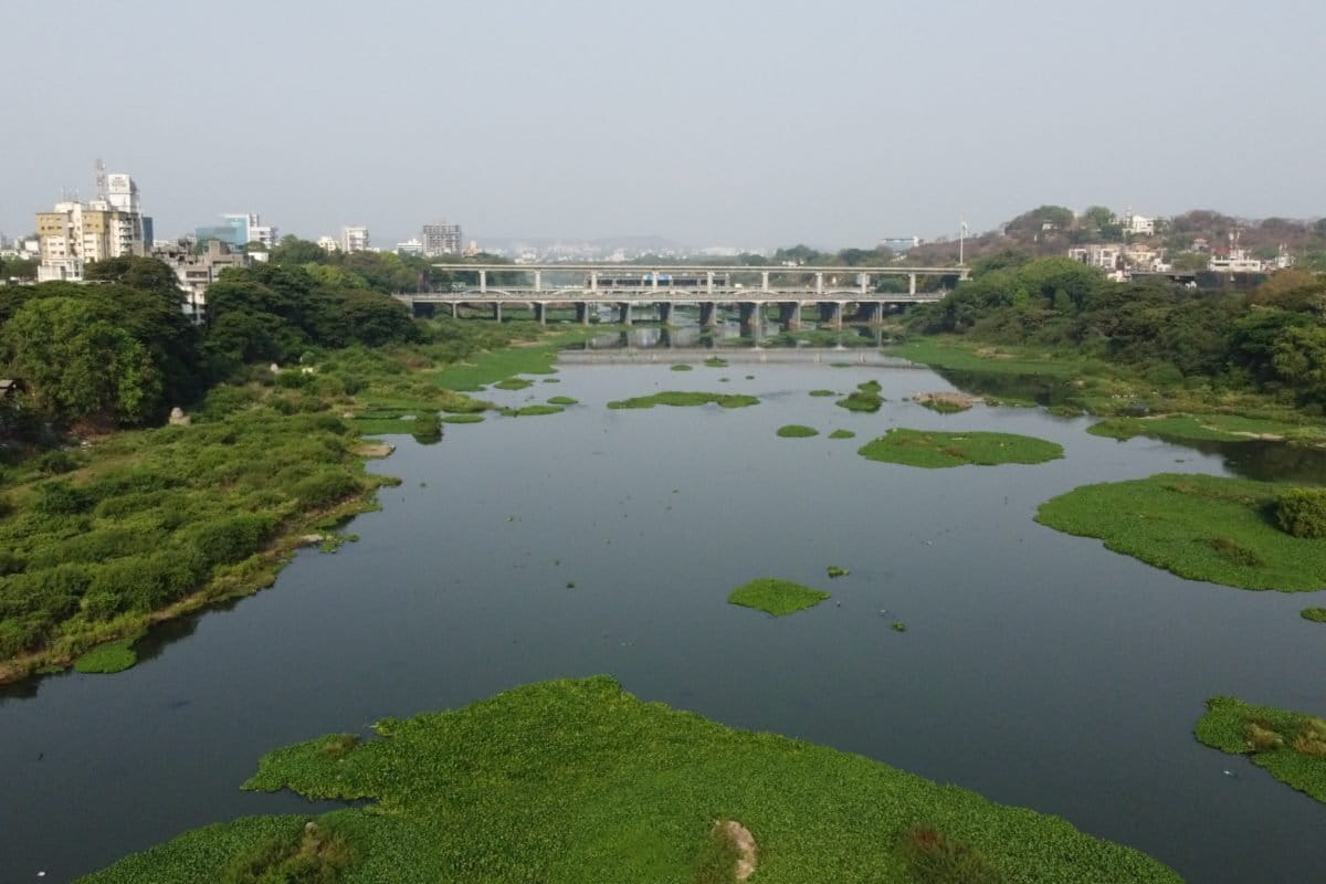Mula-Mutha river rejuvenation project ecology, hydrogeology, climate