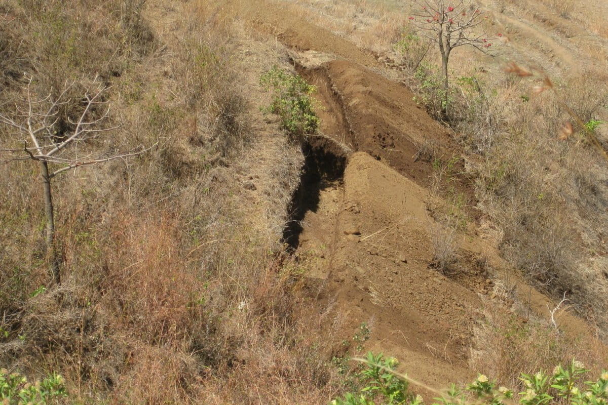 [Commentary] 100 years of “saving” India’s soil: What needs to change?