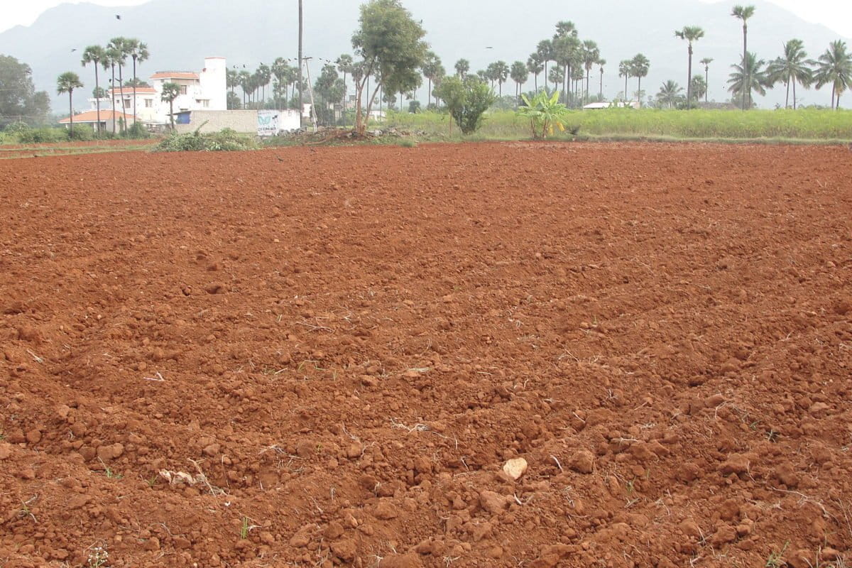 [Commentary] 100 years of “saving” India’s soil: What needs to change?