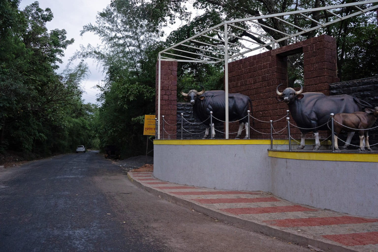 Dimming the glow of firefly festivals in Maharashtra