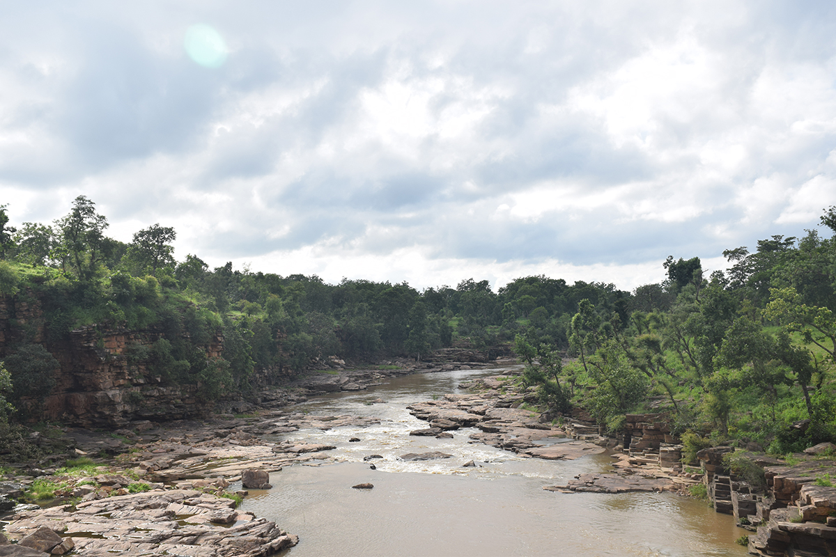 All eyes on the next chapter: India prepares to host cheetahs after 70 ...