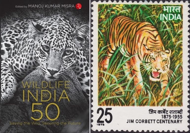 [Commentary] India's wildlife conservation journey: great strides and ...