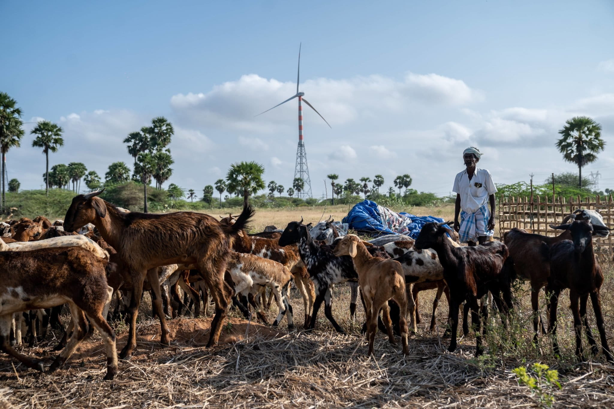 Mongabay-India - India's environmental science and conservation news