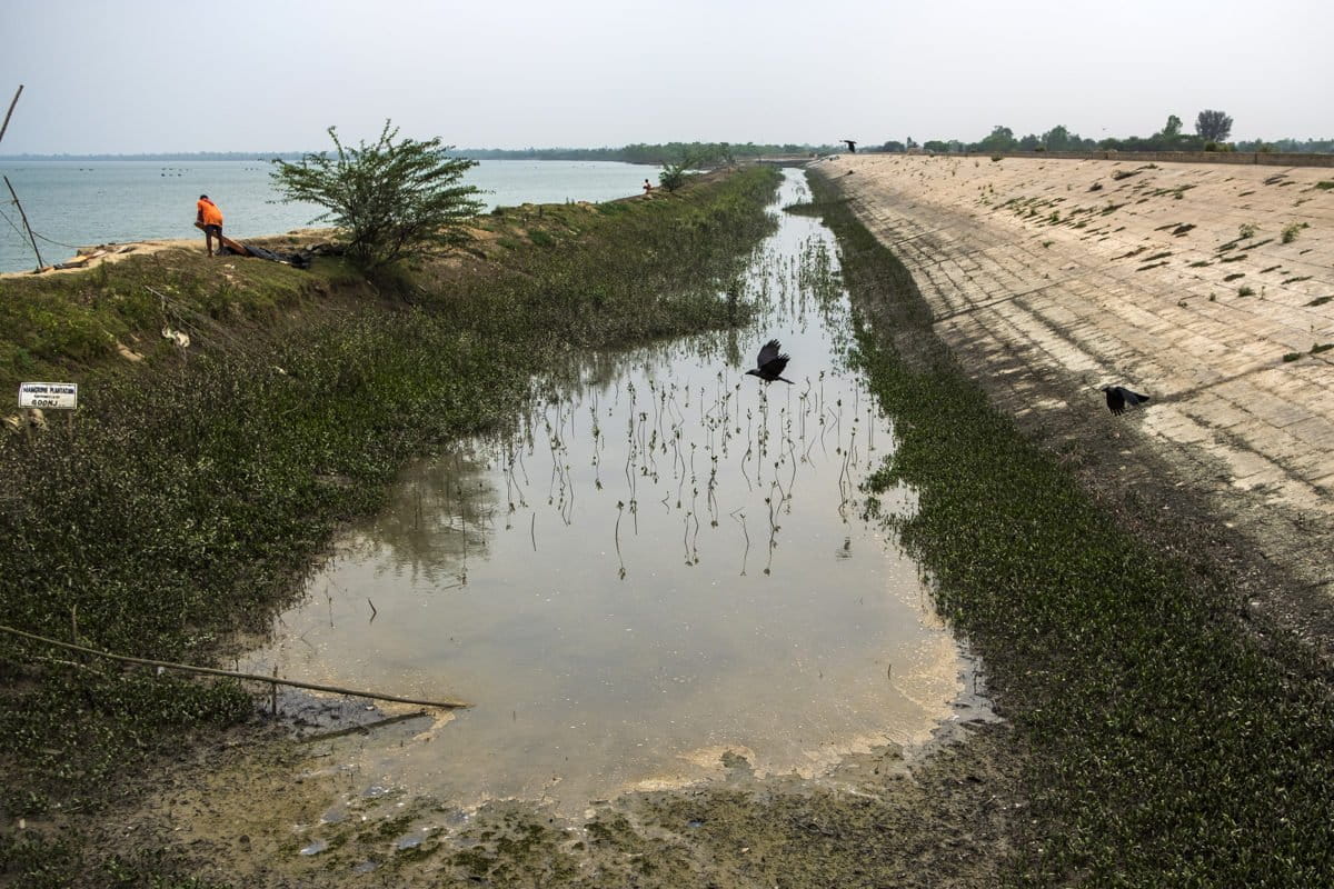 Lack of resources slow embankment construction in the Sundarbans ...