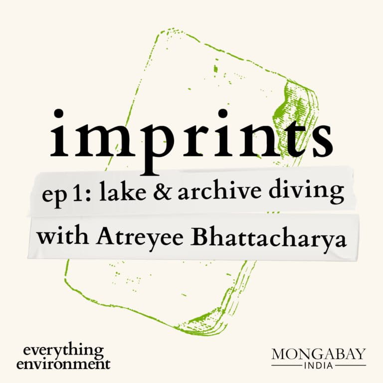 [Podcast] Imprints: Lake and archive diving with Atreyee Bhattacharya