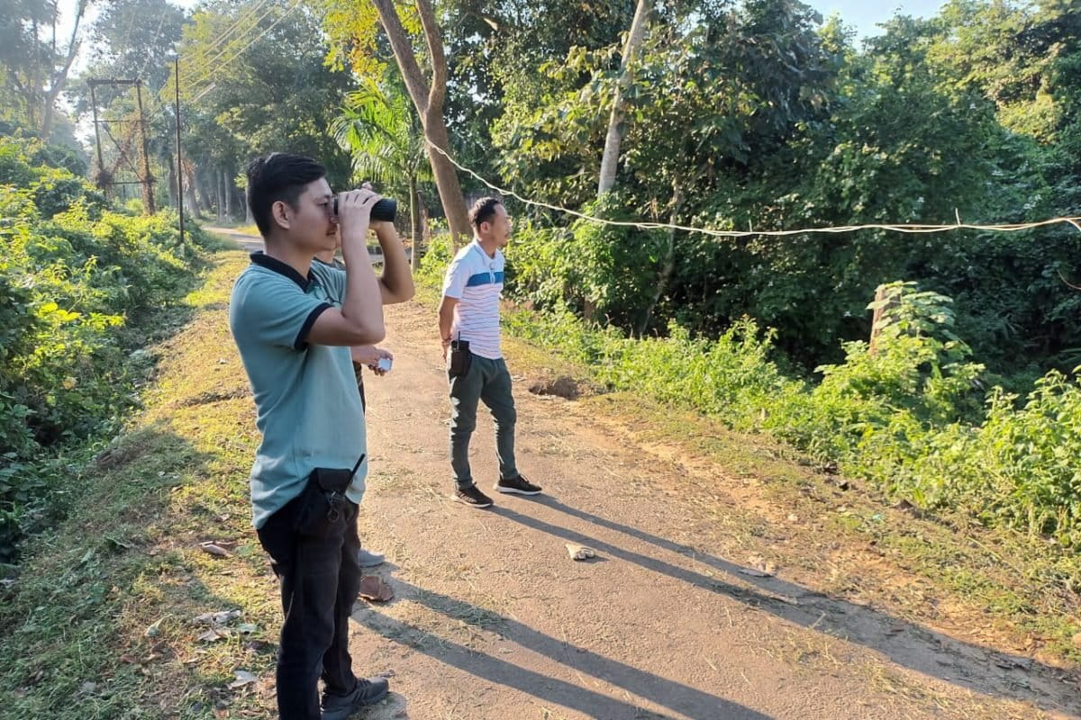 Nagaland's first bird count event spells hope for documentation in the ...