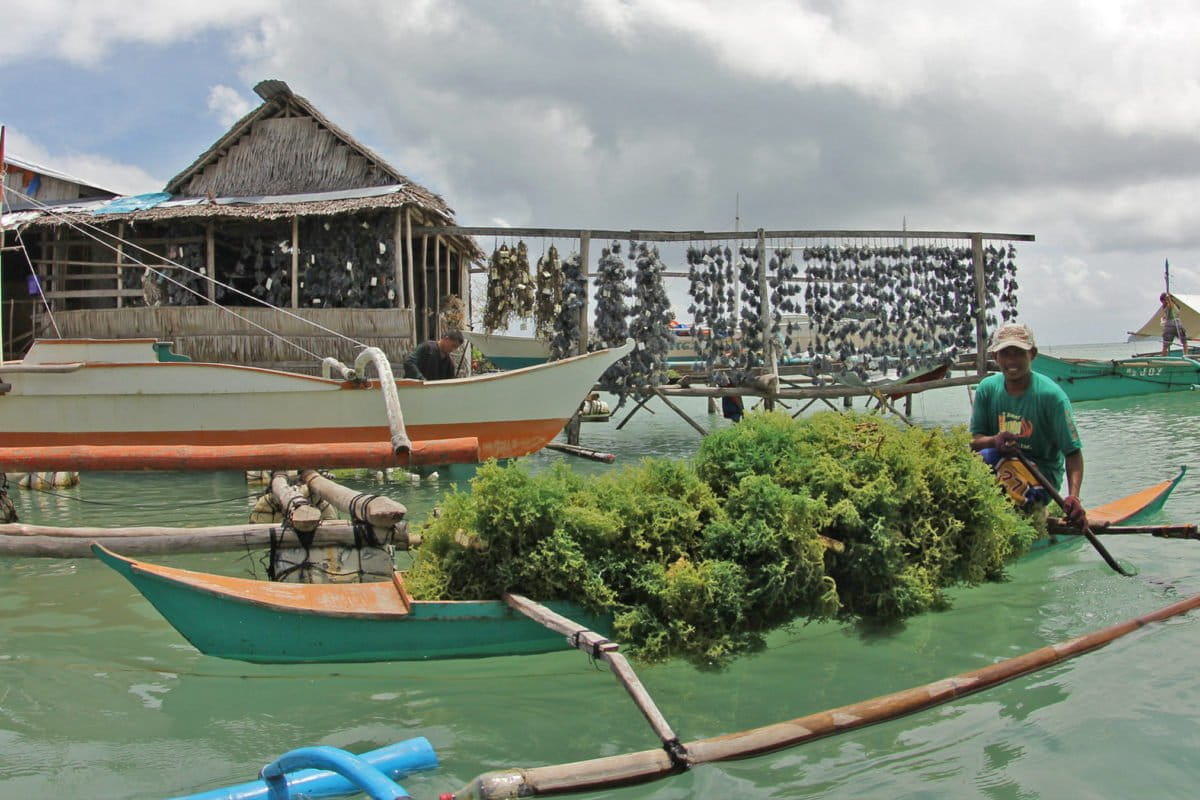 Sahana Ghosh Archives - Mongabay-India