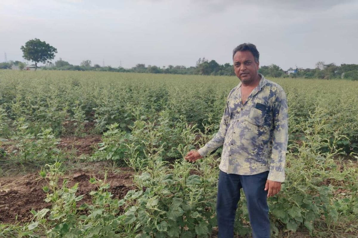 Farmers accuse a pesticide production company for distorting their ...