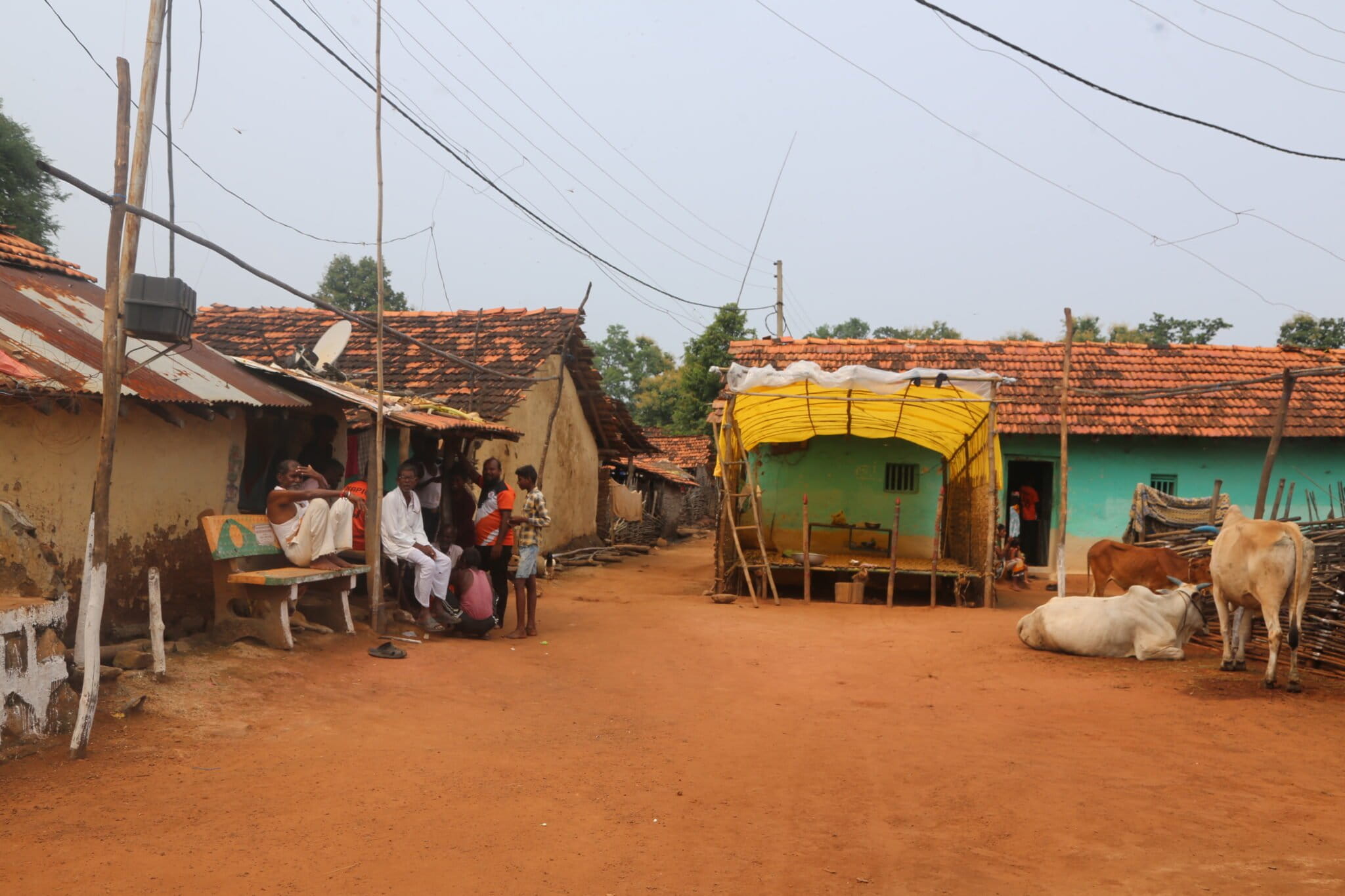 Madia Gond tribes leave ancestral land, to make way for tiger conservation
