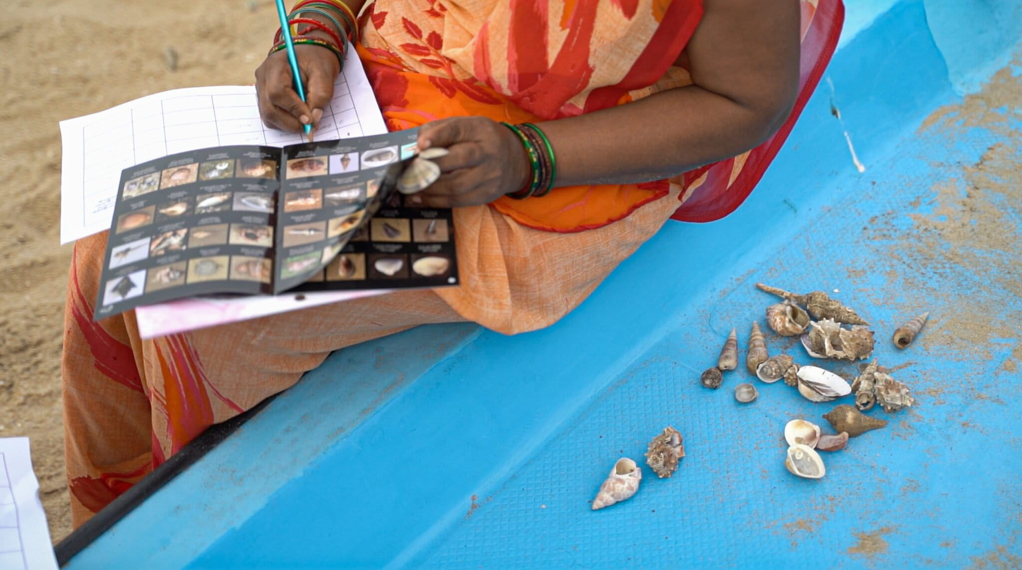 Nature-based learning programmes improve environment and climate ...